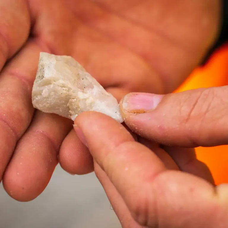 Beginner's Guide to Meteorite Collection: Recommended Specimens